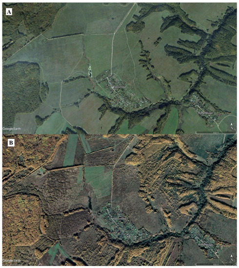 Soil and Vegetation Cover and Biodiversity Transformation of Postagrogenic Soils of the Volga ...