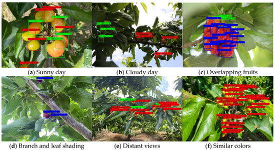 A Real-Time Detection Algorithm for Sweet Cherry Fruit Maturity Based on YOLOX in the Natural ...