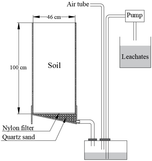 Quantifying Phosphorus Leaching Loss from Mollisol with Organic Amendments