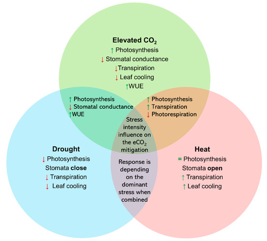 Agronomy | Free Full-Text | Physiological Responses of Plants to ...