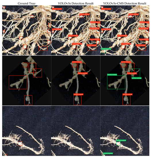 A Detection Model for Cucumber Root-Knot Nematodes Based on Modified ...