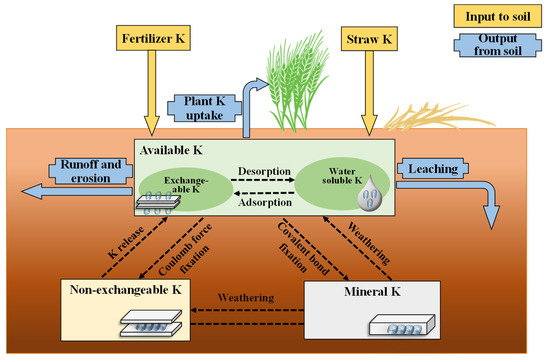 Effect of Different Long-Term Potassium Dosages on Crop Yield and ...