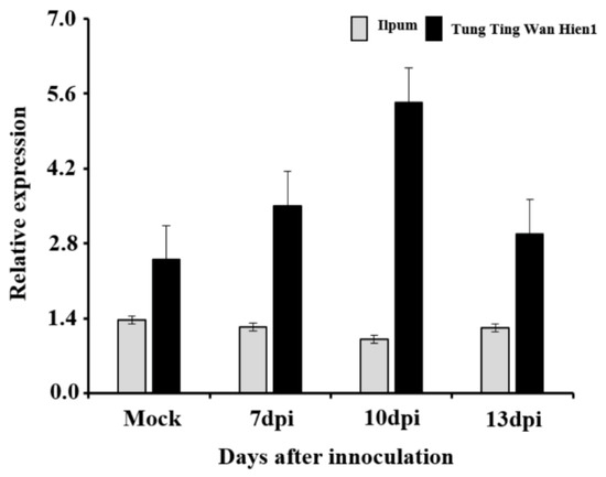 A Novel Locus for Bakanae Disease Resistance, qBK4T, Identified in Rice