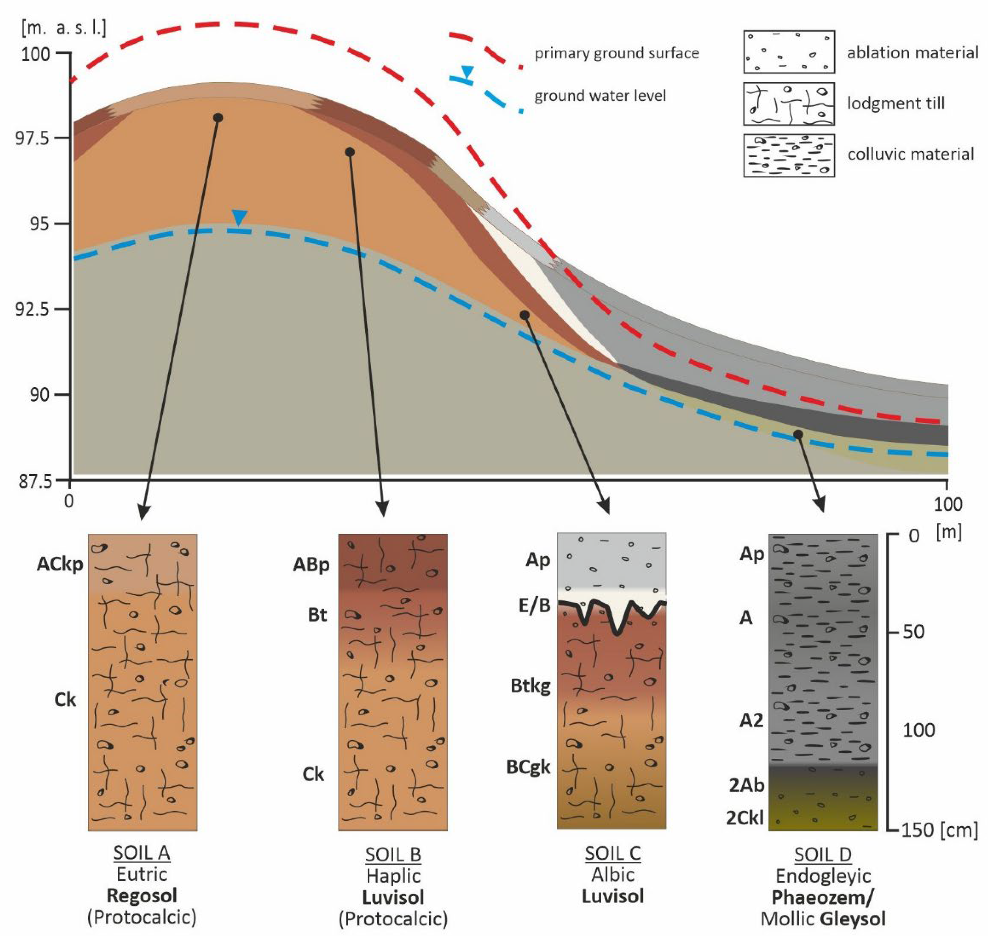 Explain The Major Types Of Soil Erosion Cl 101 - Infoupdate.org
