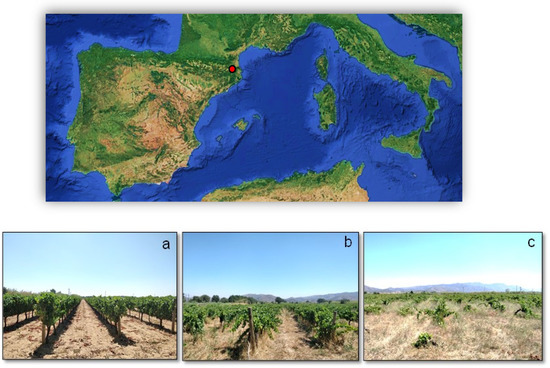Physical, Chemical, and Biological Indicators of Soil Quality in ...