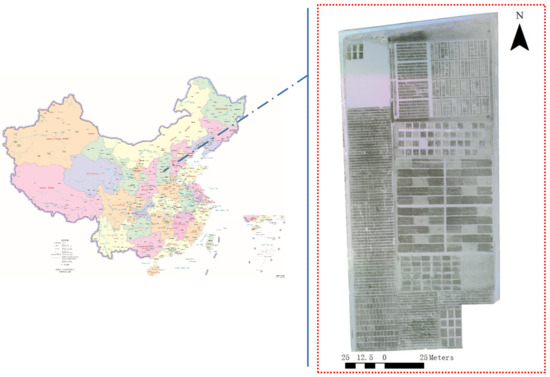 Research on the Classification of Complex Wheat Fields Based on Multi-Scale Feature Fusion