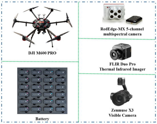 Agronomy | Free Full-Text | Research on the Classification of Complex Wheat Fields Based on ...