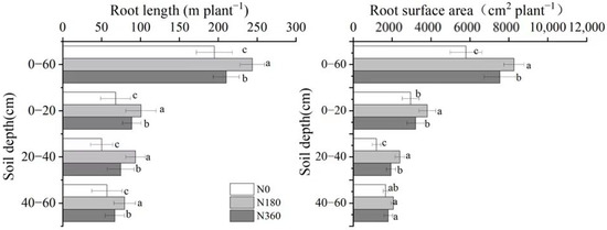 Characterization of Root Morphology and Anatomical Structure of Spring ...