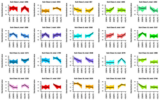 Metabolome and Transcriptome Analysis Reveal the Accumulation Mechanism of Carotenoids and the ...