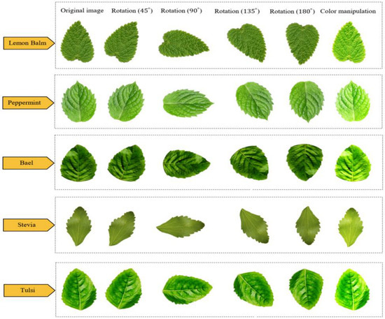 An AI Based Approach for Medicinal Plant Identification Using Deep CNN ...