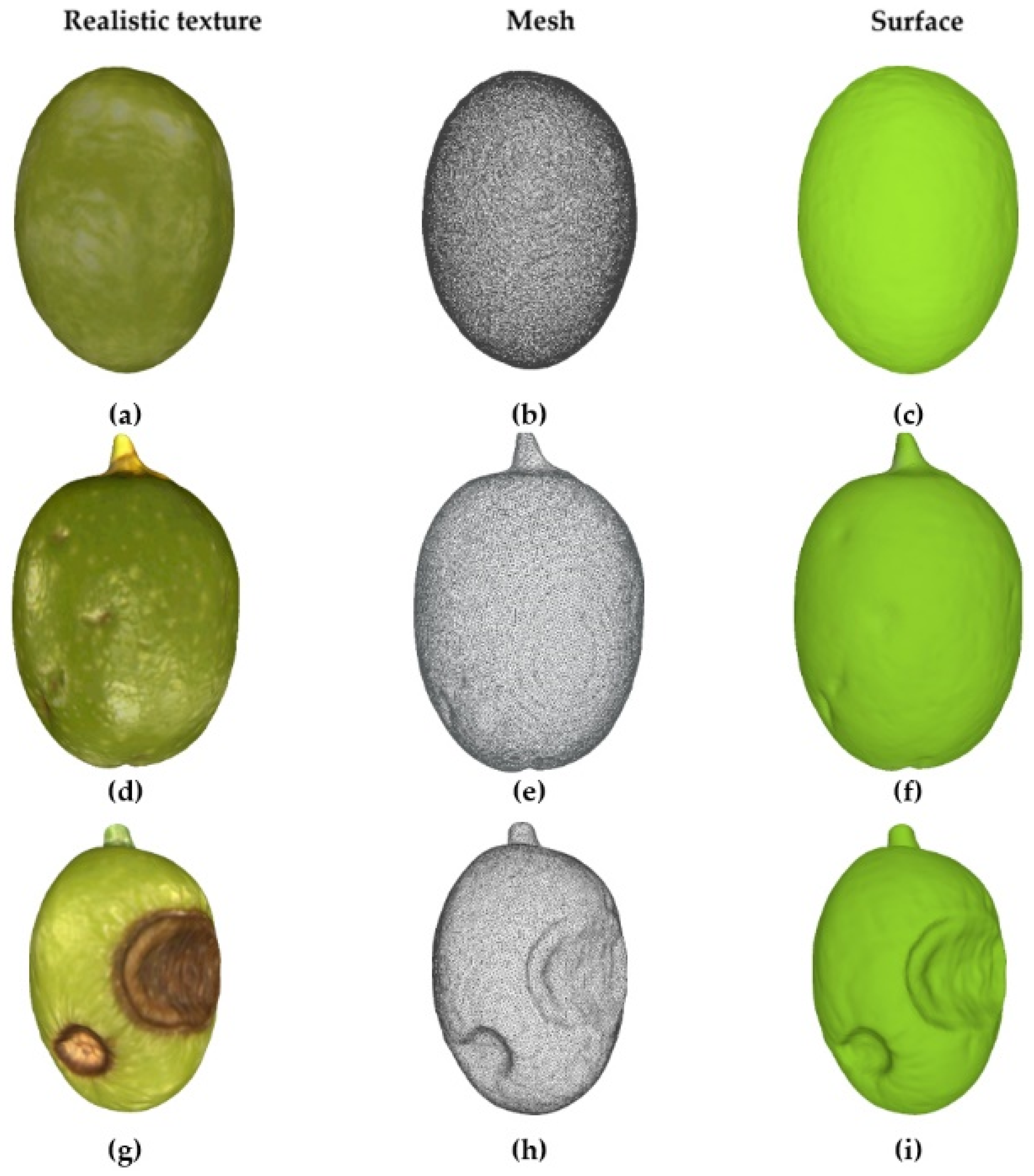 Postharvest Geometric Characterization of Table Olive Bruising from 3D ...