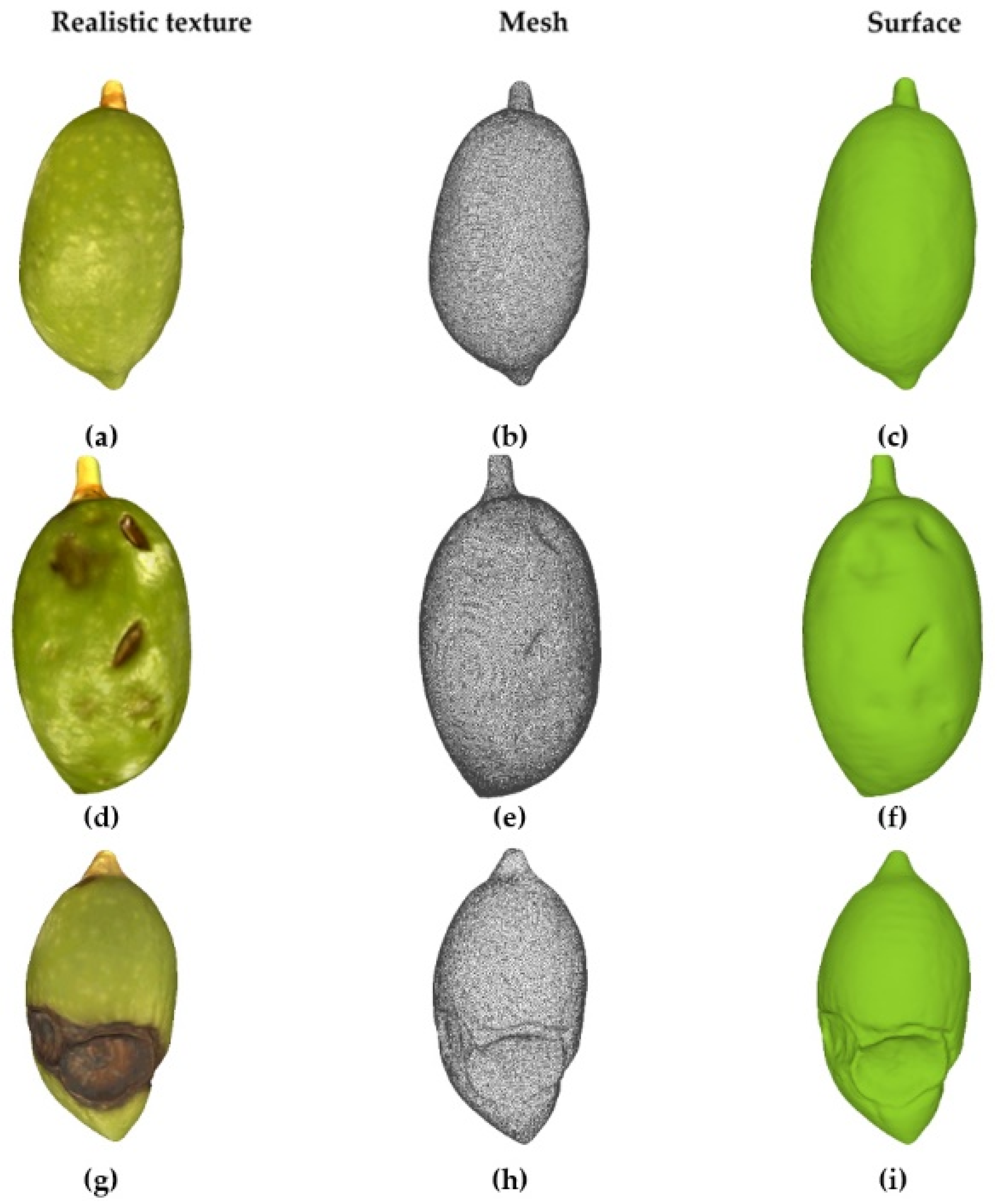 Postharvest Geometric Characterization of Table Olive Bruising from 3D ...