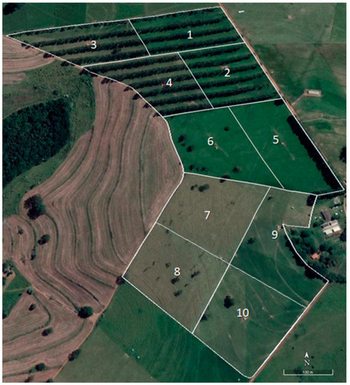 Can Intensified Pasture Systems Reduce Enteric Methane Emissions from ...