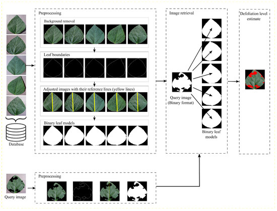 Insect Predation Estimate Using Binary Leaf Models and Image-Matching Shapes