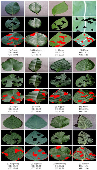 Insect Predation Estimate Using Binary Leaf Models and Image-Matching Shapes