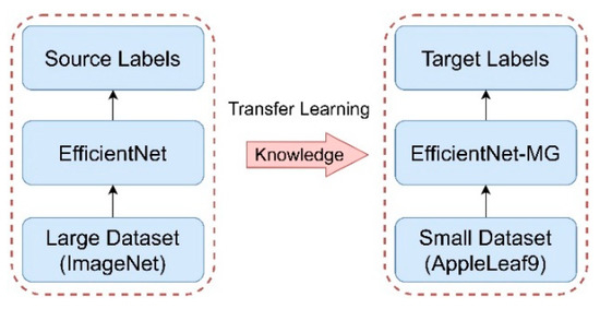 Efficient Identification of Apple Leaf Diseases in the Wild Using ...