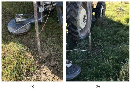 Assessment of a Chain Mower Performance for Weed Control under Tree ...