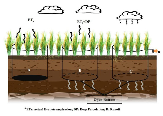 Agronomy | Free Full-Text | Estimation of Actual Evapotranspiration and ...