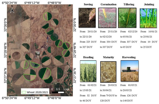 Wheat Yield Estimation Using Remote Sensing Indices Derived from Sentinel-2 Time Series and ...