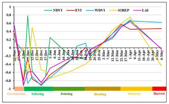 Wheat Yield Estimation Using Remote Sensing Indices Derived from ...