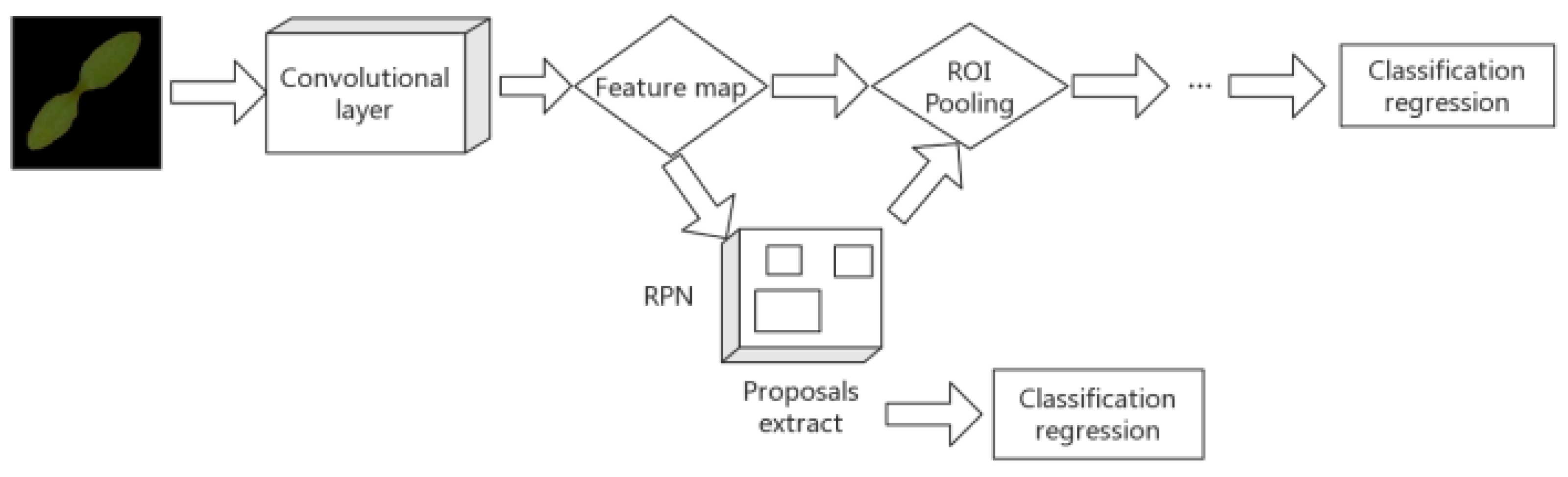 A Faster R Cnn Based Model For The Identification Of Weed Seedling