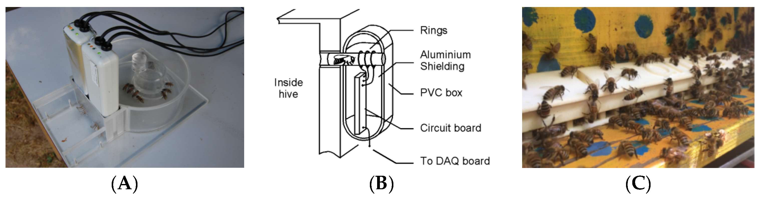 Research Progress on Efficient Pollination Technology of Crops