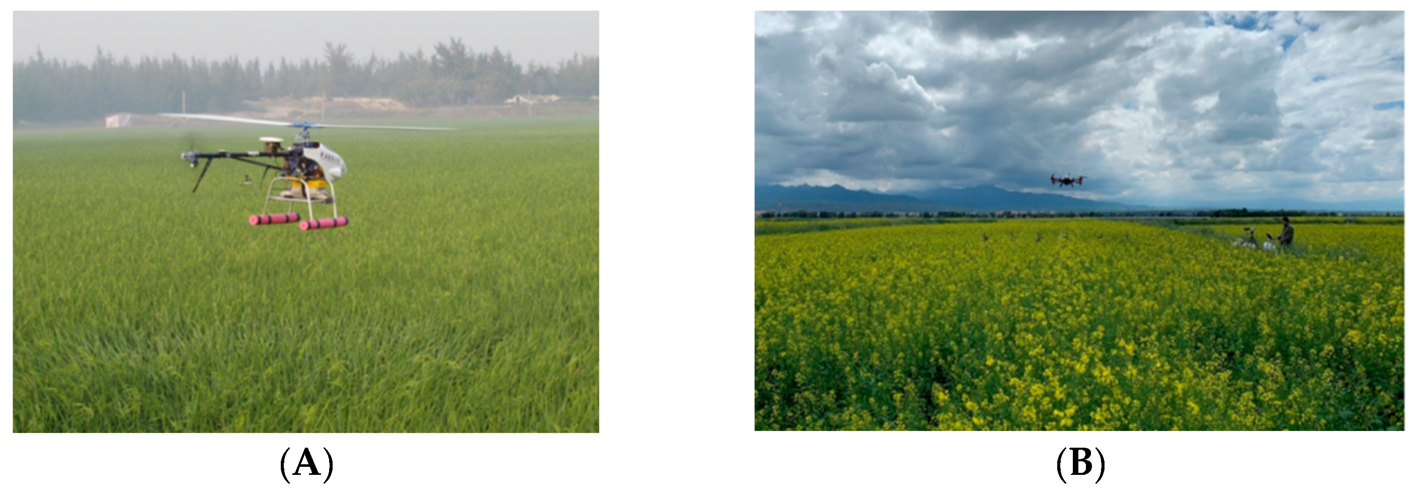 Research Progress on Efficient Pollination Technology of Crops