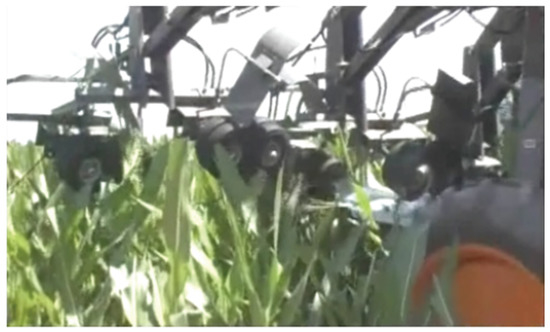 Research Progress on Efficient Pollination Technology of Crops