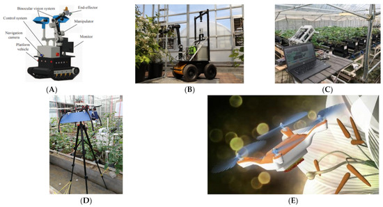 Research Progress on Efficient Pollination Technology of Crops