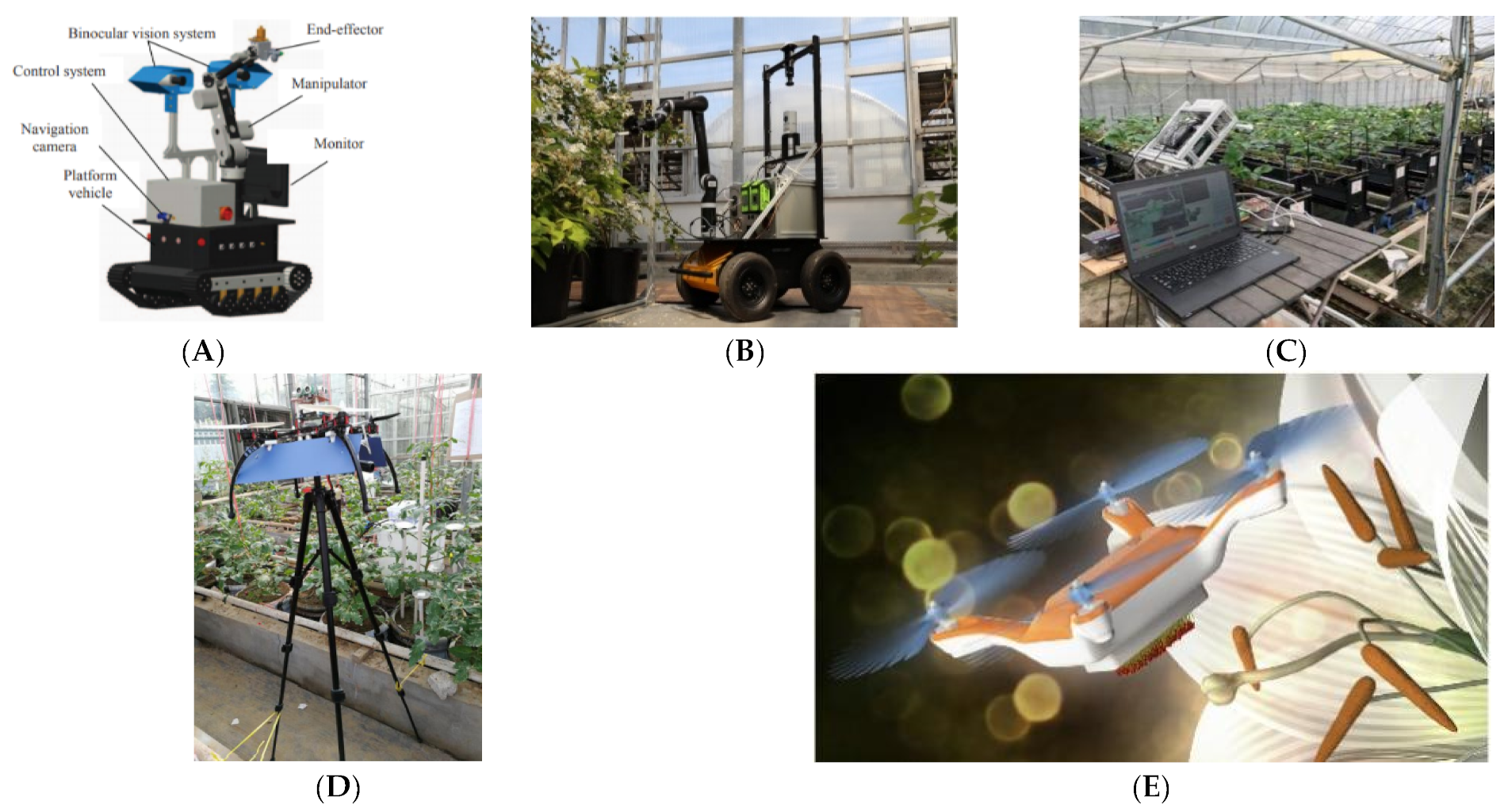 Research Progress on Efficient Pollination Technology of Crops