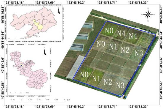 Research on Precise Fertilization Method of Rice Tillering Stage Based ...