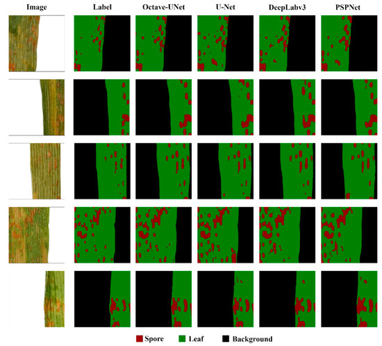 Agronomy | Free Full-Text | Semantic Segmentation of Wheat Stripe Rust Images Using Deep Learning