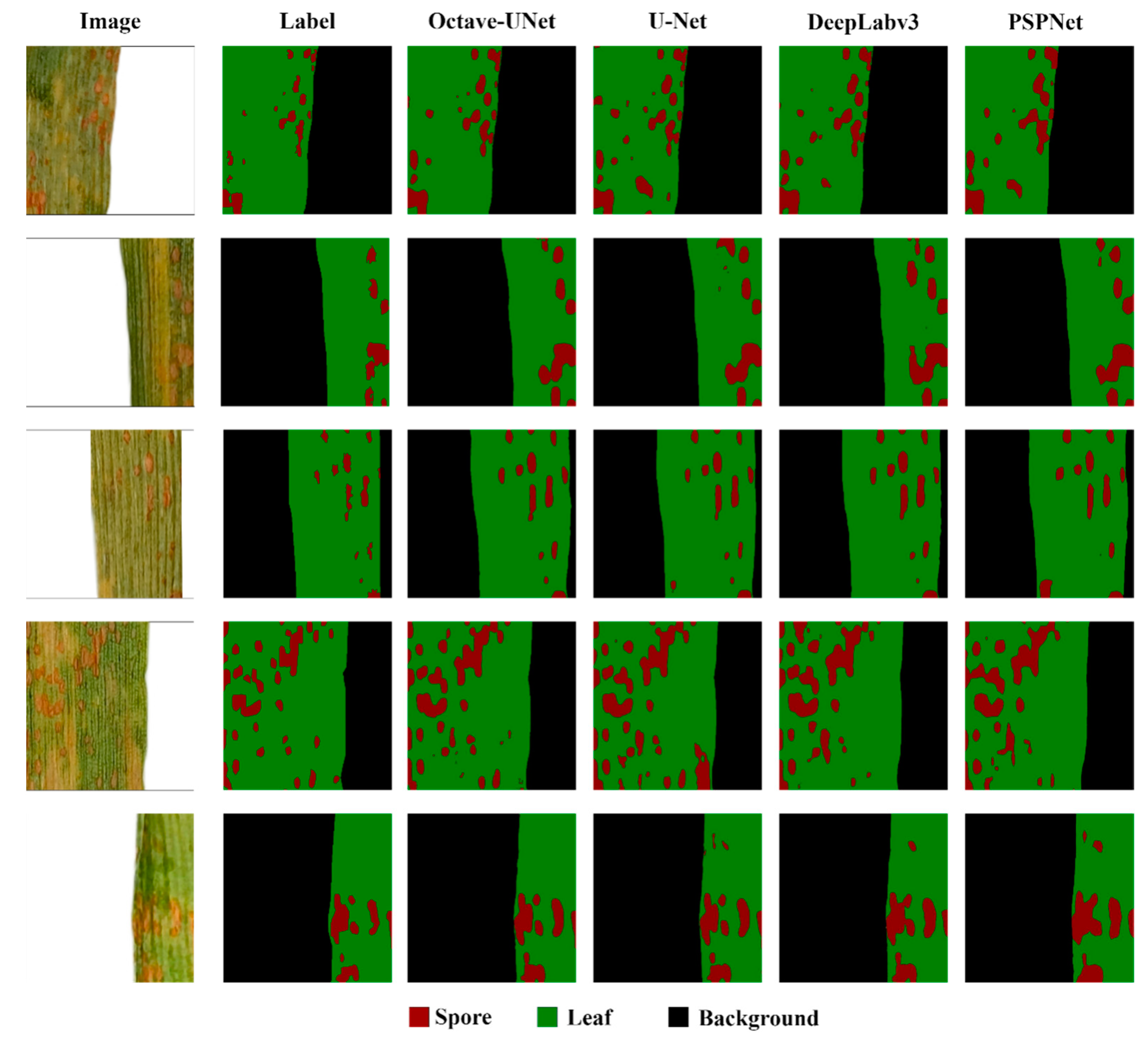 Agronomy | Free Full-Text | Semantic Segmentation of Wheat Stripe Rust Images Using Deep Learning