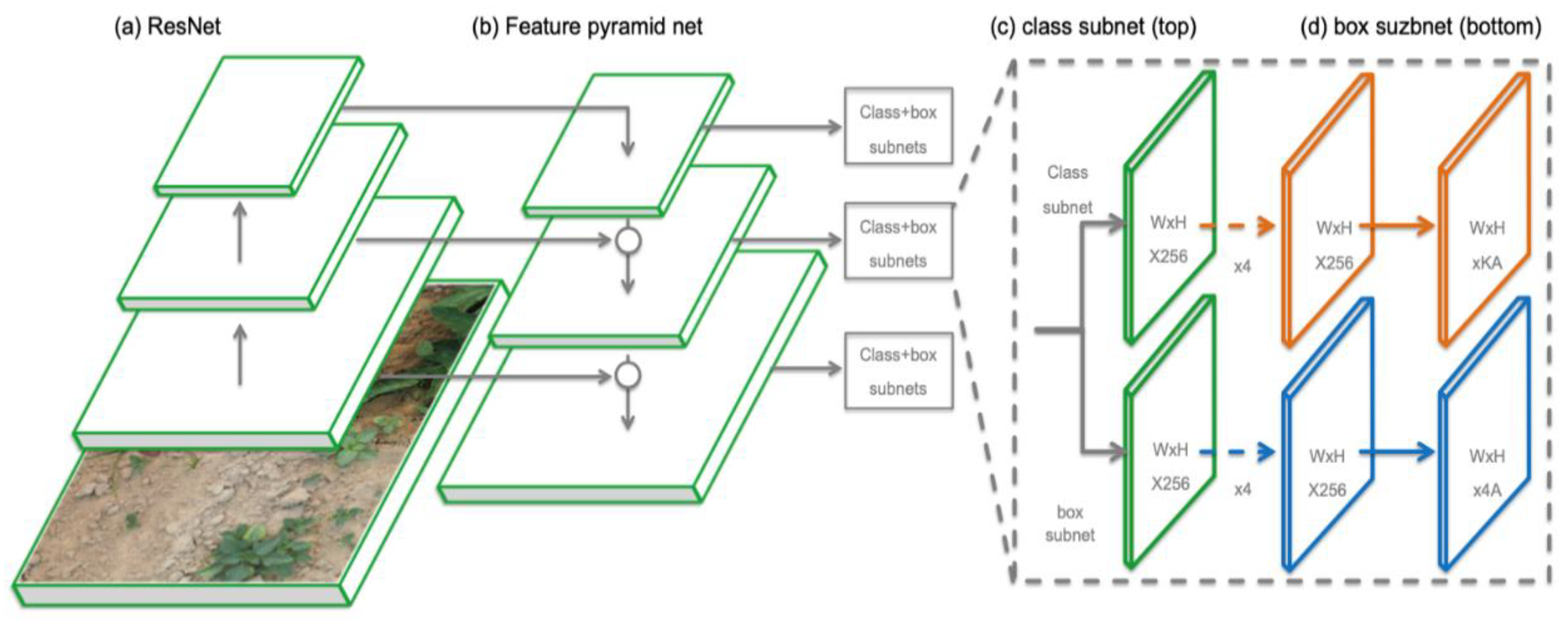 Agronomy | Free Full-Text | Intelligent Weed Management Based on Object ...