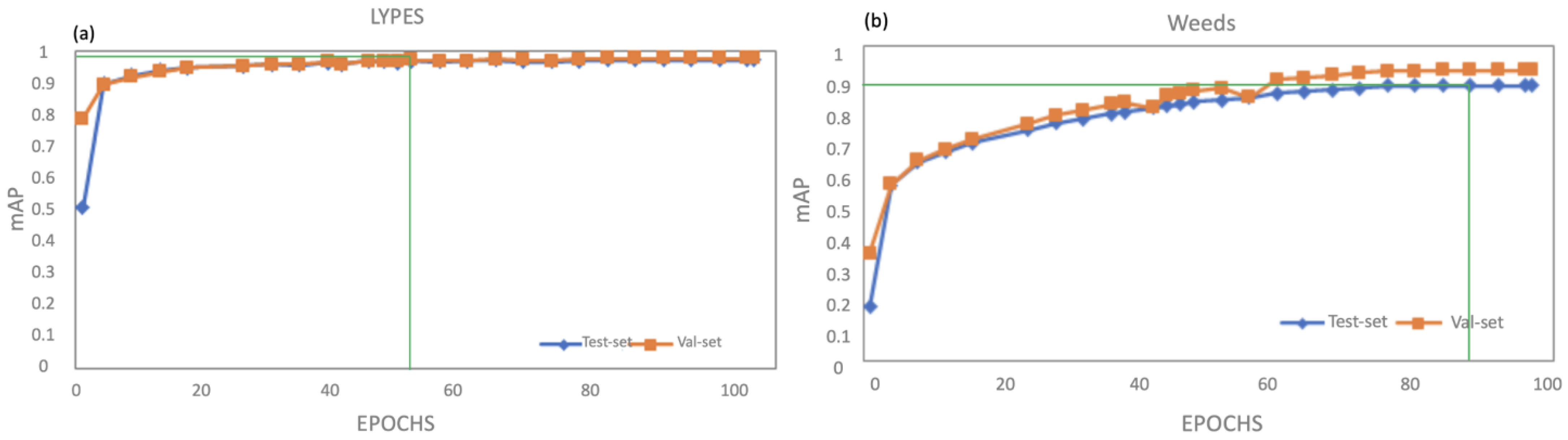Agronomy | Free Full-Text | Intelligent Weed Management Based on Object ...