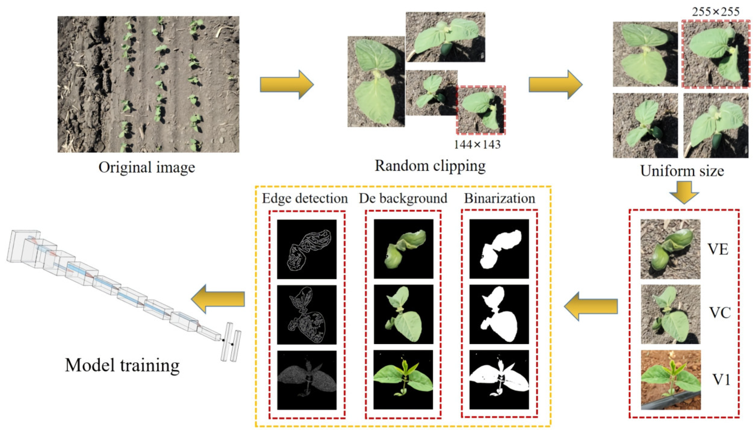 A Model for Identifying Soybean Growth Periods Based on Multi-Source ...