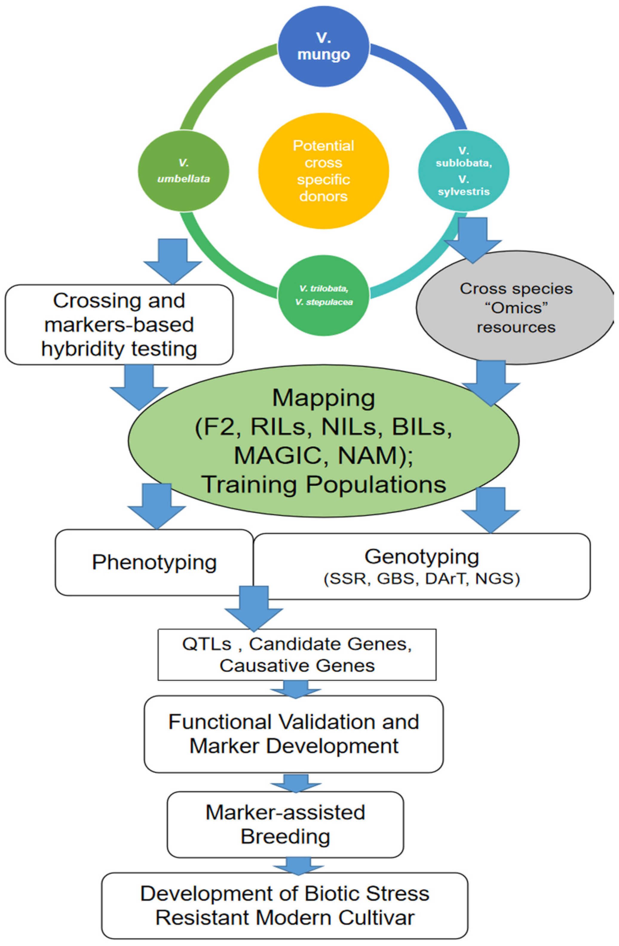 Genetic and Genomics Resources of Cross-Species Vigna Gene Pools for ...