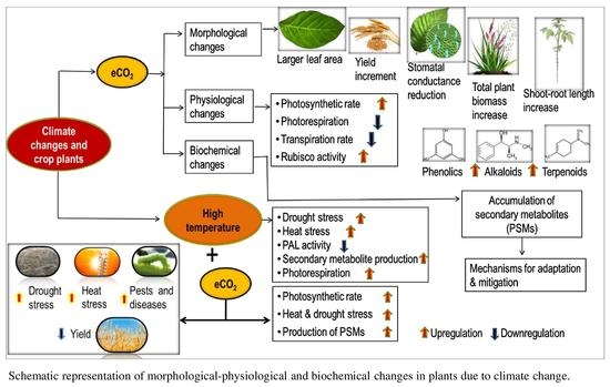 Agronomy | Free Full-Text | Climate Change and Its Impact on Crops: A ...