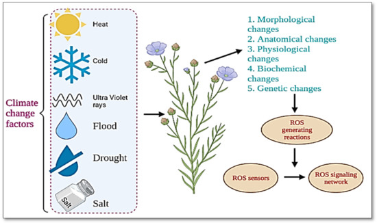 Climate Change and Its Impact on Crops: A Comprehensive Investigation ...