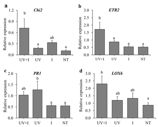 Ultraviolet-B Irradiation Induces Resistance against Powdery Mildew in ...