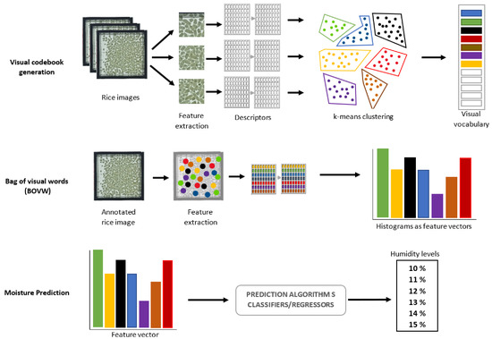 Determination of Moisture in Rice Grains Based on Visible Spectrum Analysis