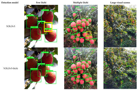 Litchi Detection in a Complex Natural Environment Using the YOLOv5-Litchi Model