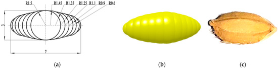 Design and Optimization of Rice Grain Screening System Based on DEM–CFD ...