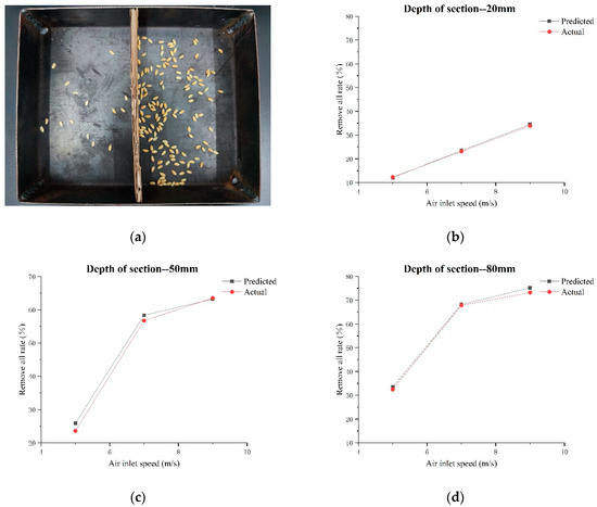 Design and Optimization of Rice Grain Screening System Based on DEM–CFD ...