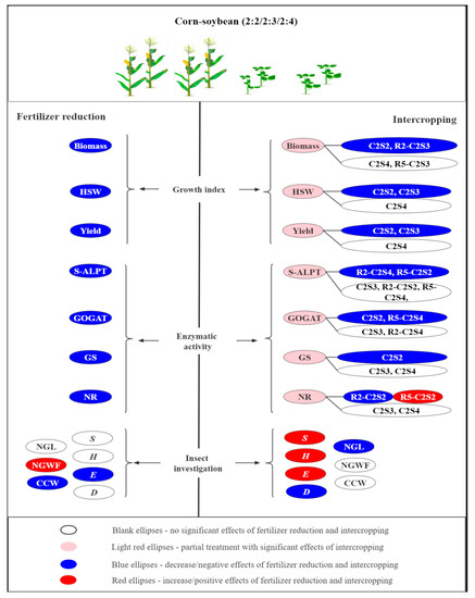 Agronomy | Free Full-Text | Effects of Fertilizer Level and ...