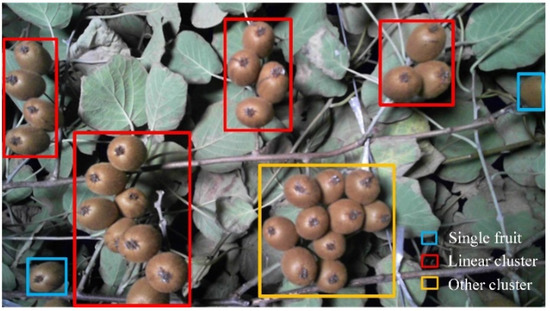 A Method of Grasping Detection for Kiwifruit Harvesting Robot Based on ...