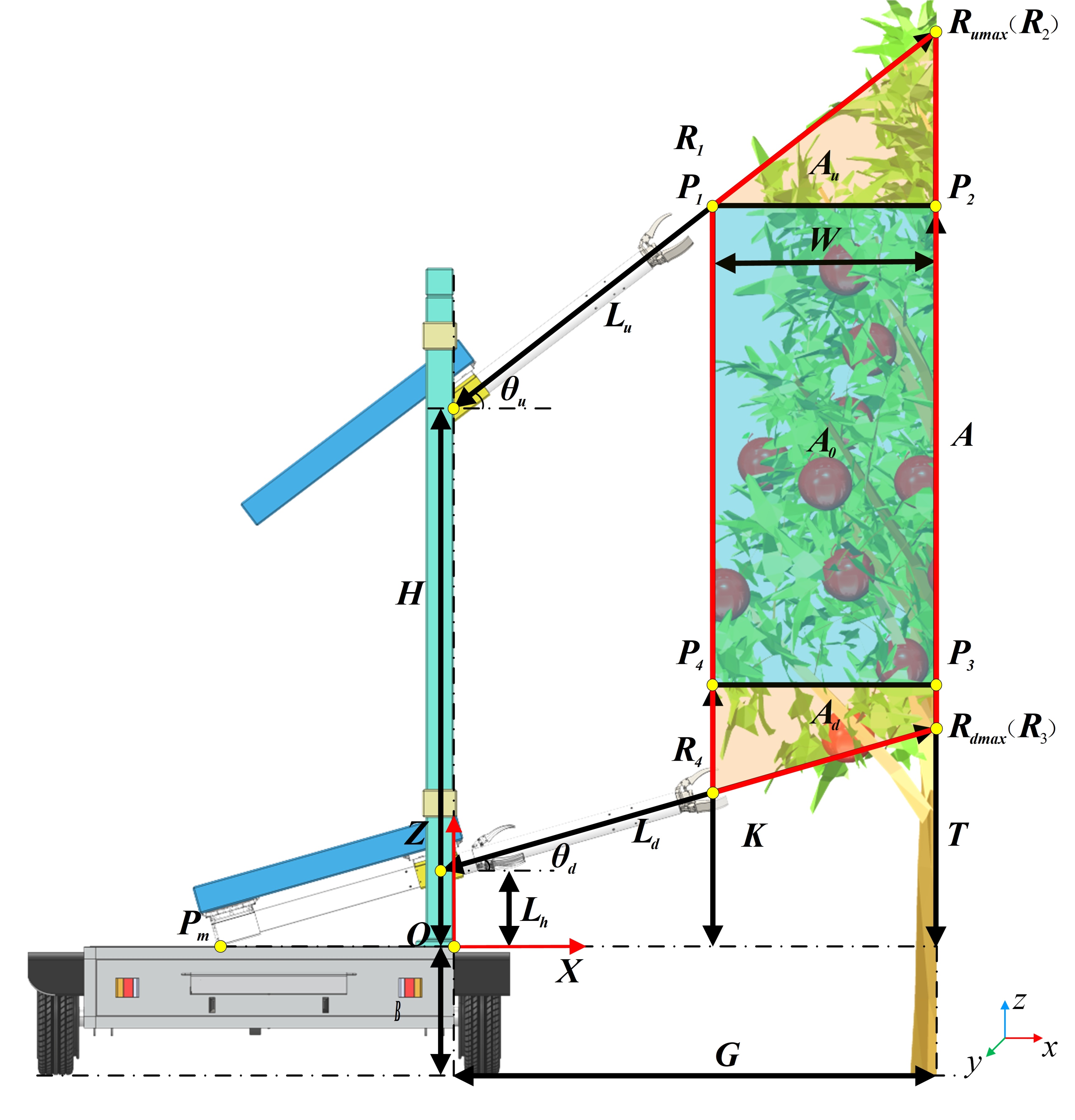 Dual-Manipulator Optimal Design for Apple Robotic Harvesting