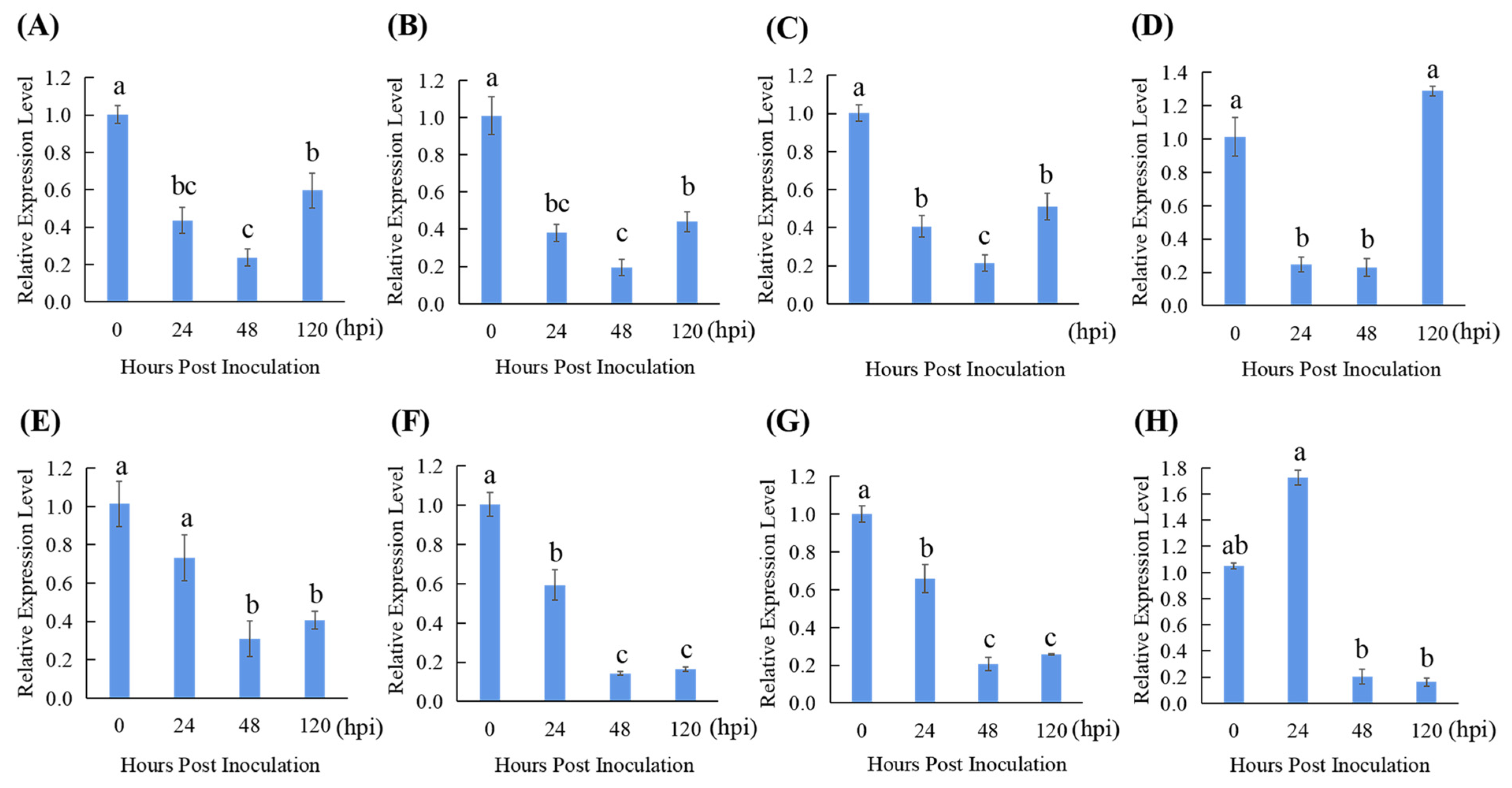 Selection and Evaluation of Reference Genes for Quantitative Real-Time ...