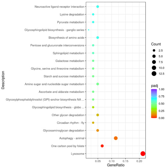 Agronomy Free Full Text Comparative Transcriptomic Analysis Of Head