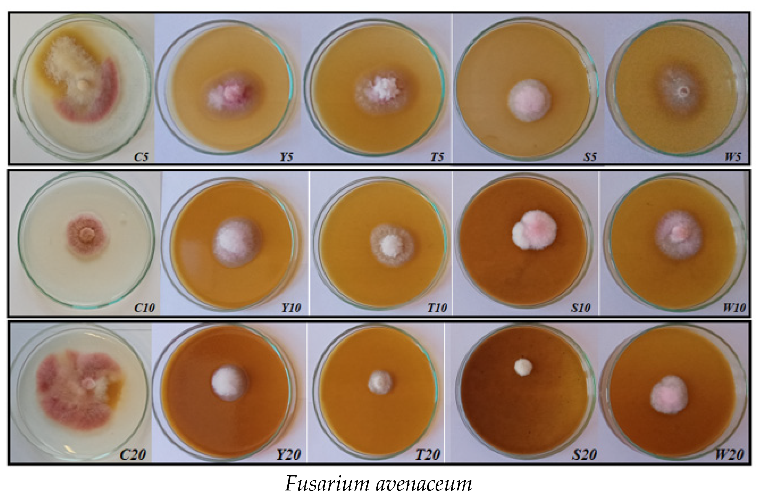 Agronomy | Free Full-Text | Antifungal Effect of Plant Extracts on the ...